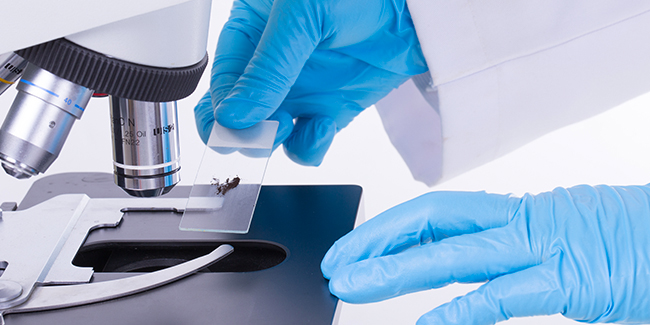 Microbiological sampling of pharmaceutical products